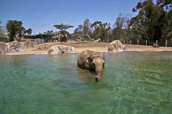 San Diego Zoo
