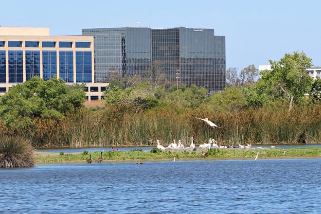 San Joaquin Wildlife Sanctuary