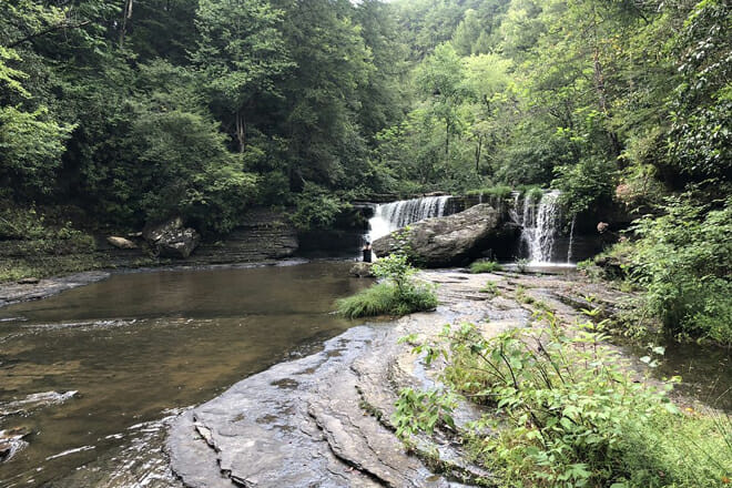Savage Gulf State Natural Area