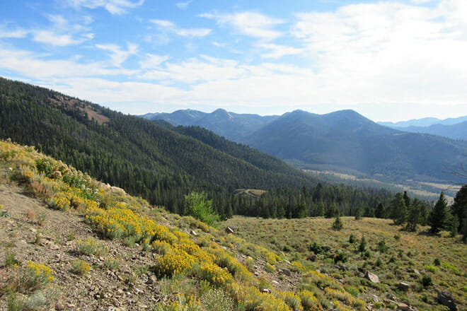 Sawtooth National Forest