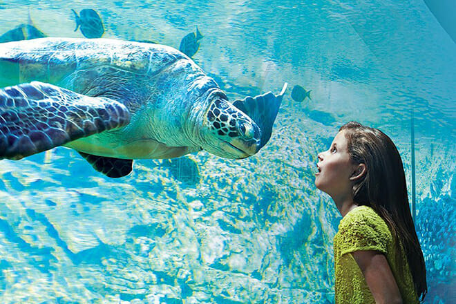 SeaWorld San Antonio