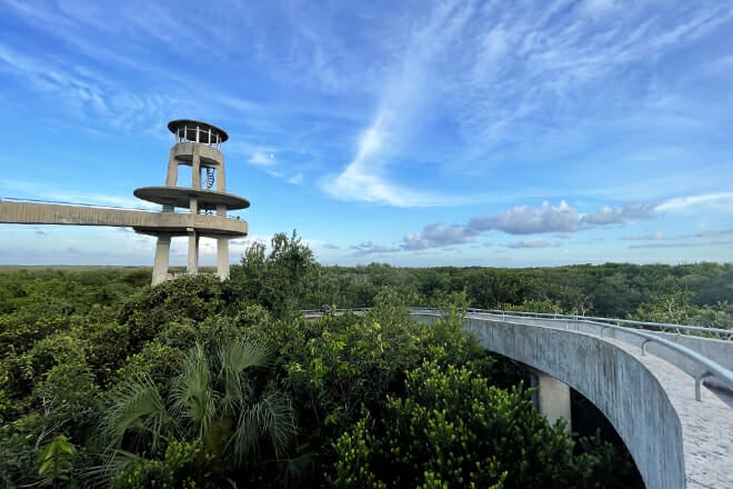 Shark Valley in Everglades National Park