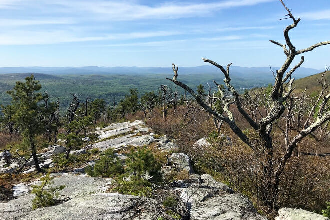 Shawangunk Mountains
