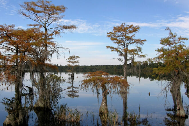 Singletary Lake State Park