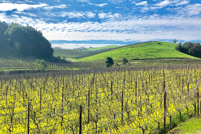 Sonoma Valley