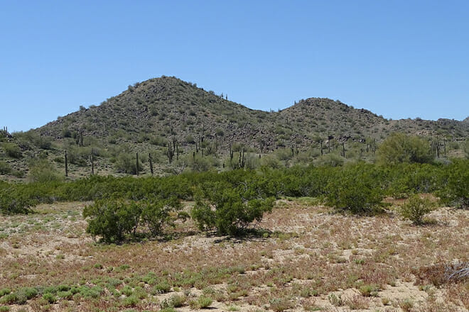 sonoran desert