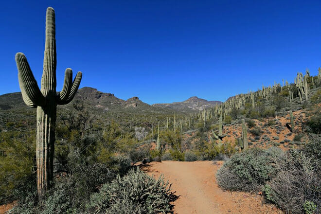 Spur Cross Ranch Conservation Area