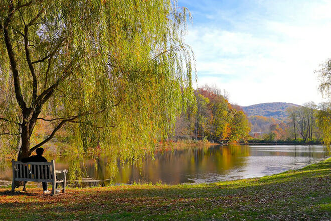 Storm King Art Center