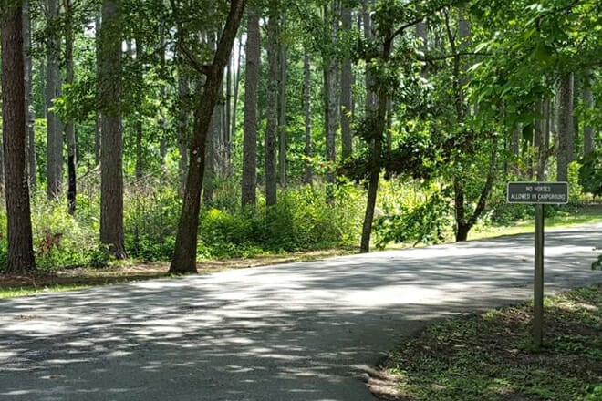 Talladega National Forest