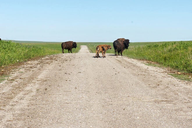 Tallgrass Prairie Preserve