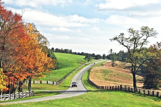 The Blue Ridge Parkway