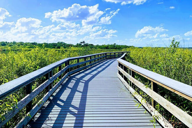 The Everglades