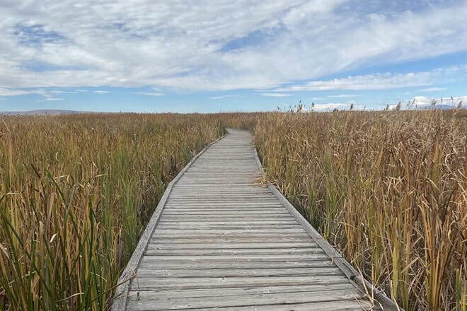 The Great Salt Lake Shorelands Preserve