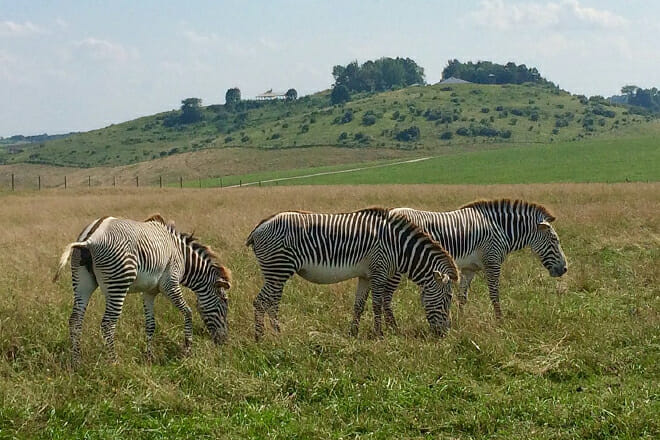 The Wilds, Cumberland
