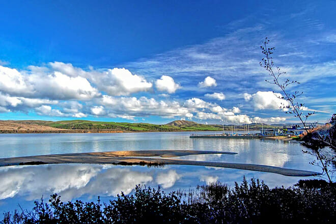 Tomales Bay