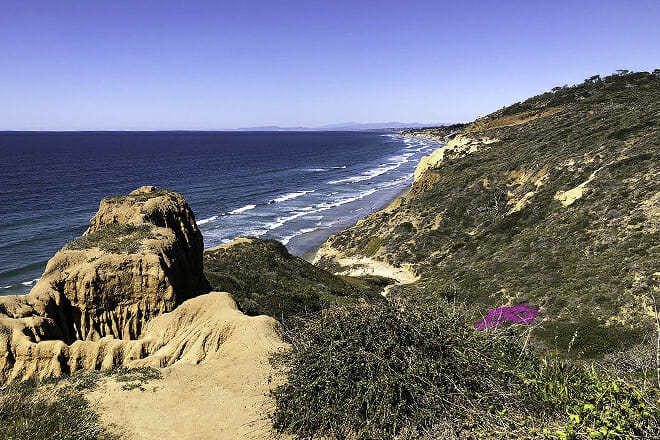Torrey Pines State Natural Reserve