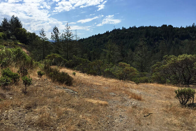 Trione-Annadel State Park