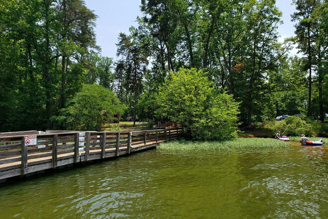 Uwharrie National Forest