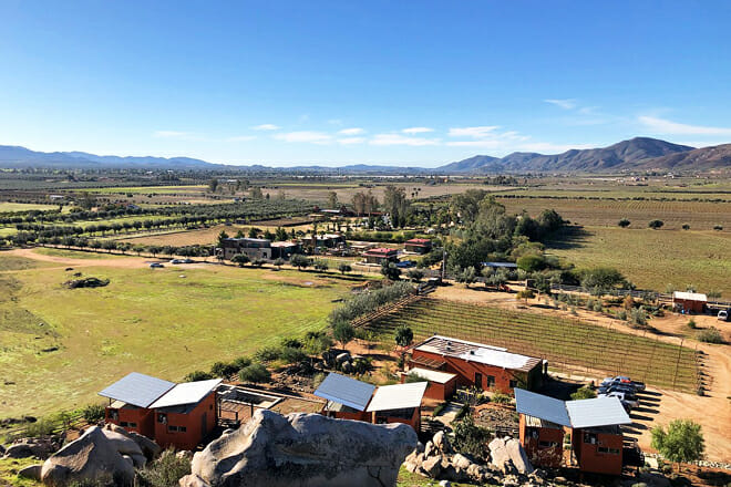 Valle de Guadalupe