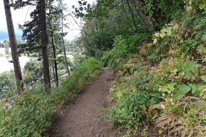 Wahkeena and Multnomah Falls Loop Trail