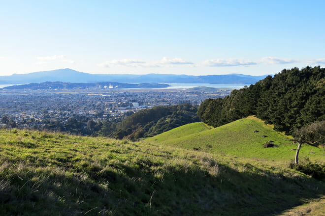 Wildcat Canyon Regional Park