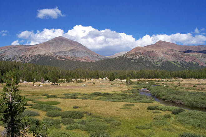 Yosemite National Park