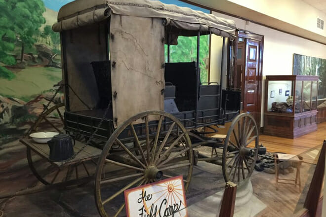 Alabama Museum of Natural History