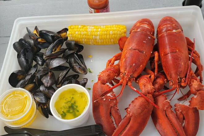 Alive & Kicking Lobsters