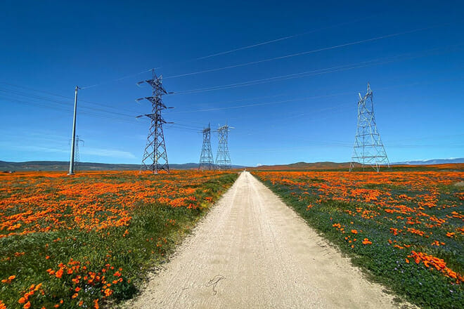 Antelope Valley &ndash; California