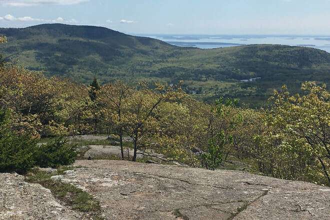 Bald Mountain Preserve