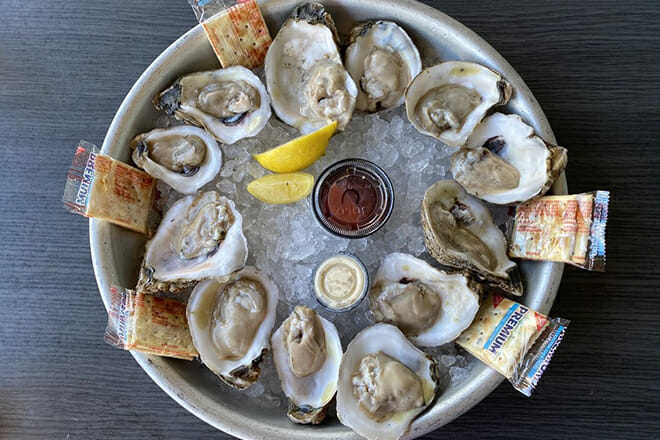 Bar fly Safety Harbor