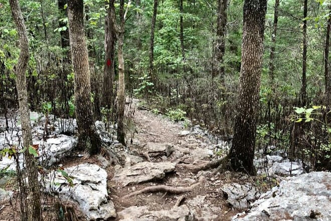 Barfield-Crescent Park and Wilderness Station