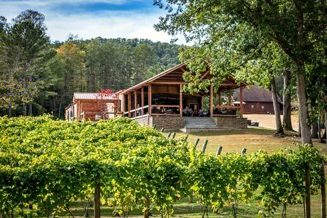 Bear Claw Vineyards