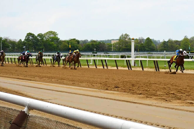 Belmont Park Racetrack