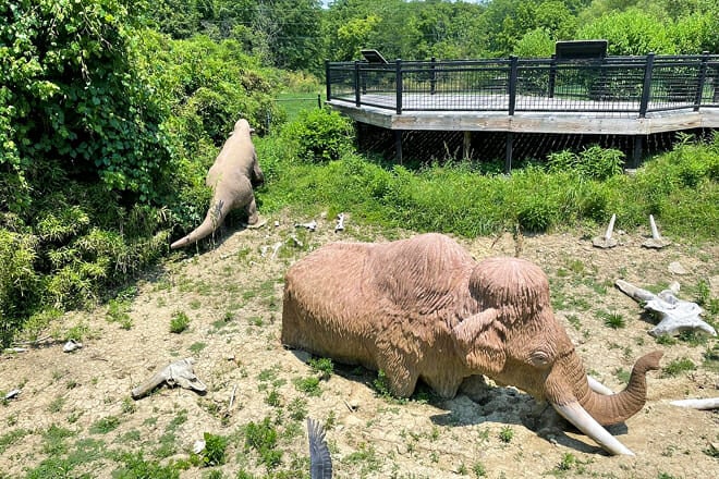 Big Bone Lick State Historic Site