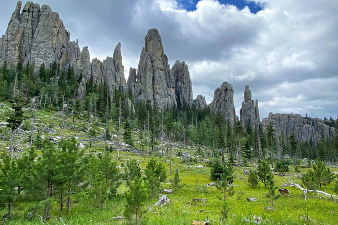 Black Hills &ndash; South Dakota