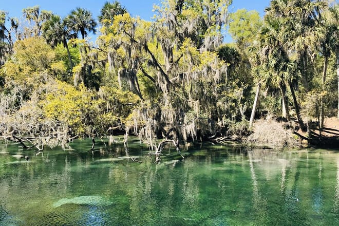 Blue Springs State Park