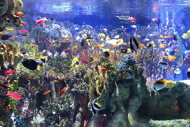 Boston &ndash; Massachusetts