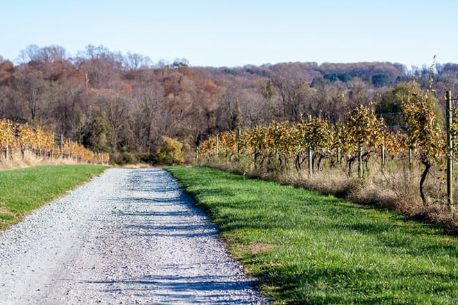 Brandywine Valley Wine Tour