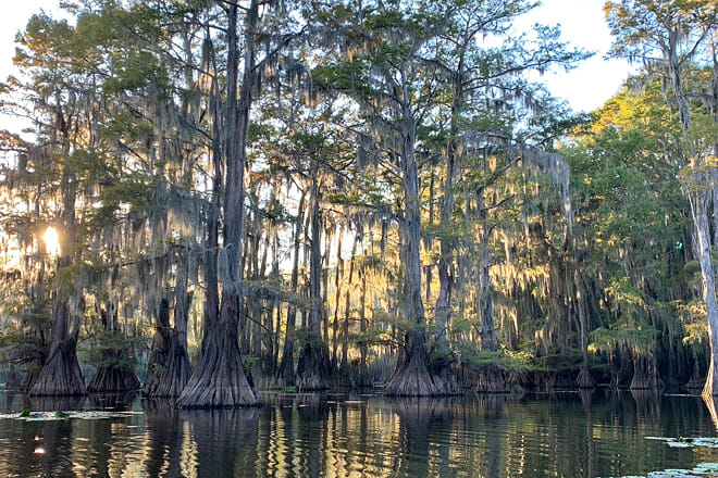 Caddo Lake