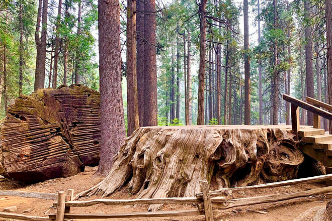 Calaveras Big Trees State Park