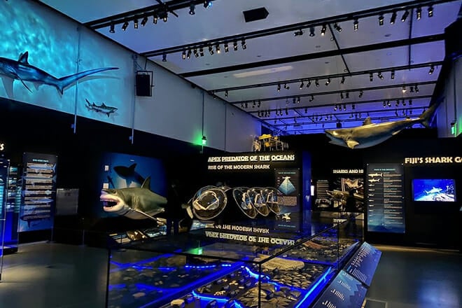 California Academy of Sciences