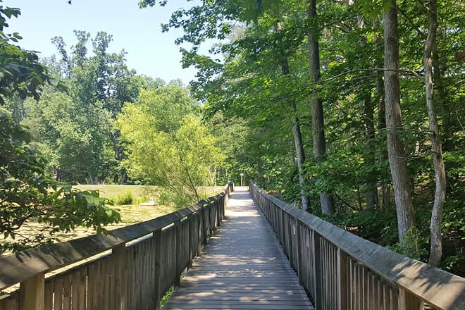 Calvert Cliffs State Park