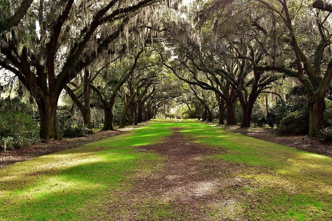 Charles Towne Landing State Historic Site
