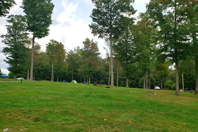 Cherry Springs State Park