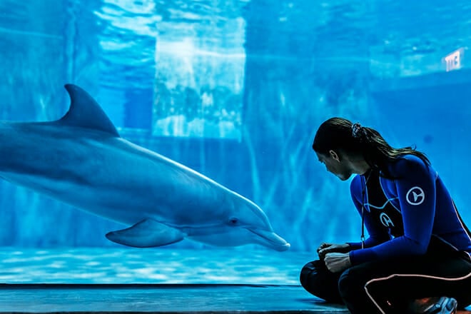 Clearwater Marine Aquarium &mdash; Clearwater Beach