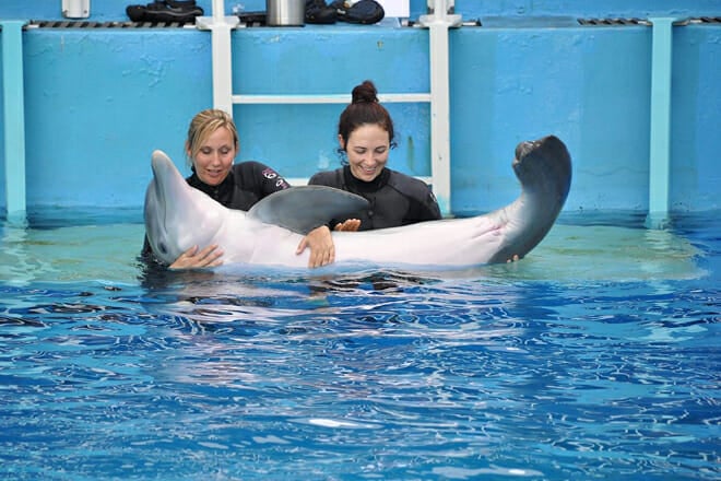 Clearwater Marine Aquarium