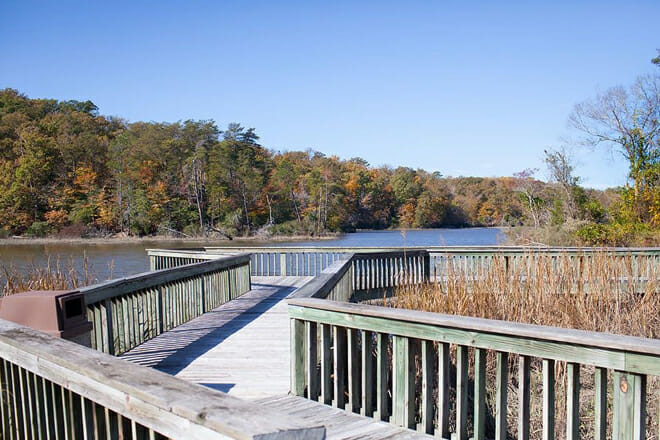 College Landing Park