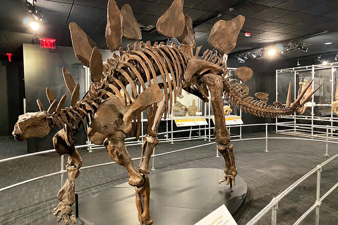 Columbus Center of Science and Industry