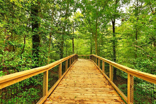 congaree national park